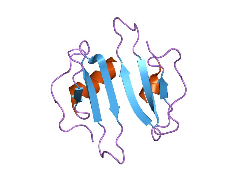 Interferon gamma inducible protein 10 | U-CyTech Interferon gamma inducible protein 10 | U-CyTech